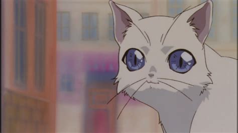 Prince Myshkin Remix Favorite Show And Game Wiki Fandom