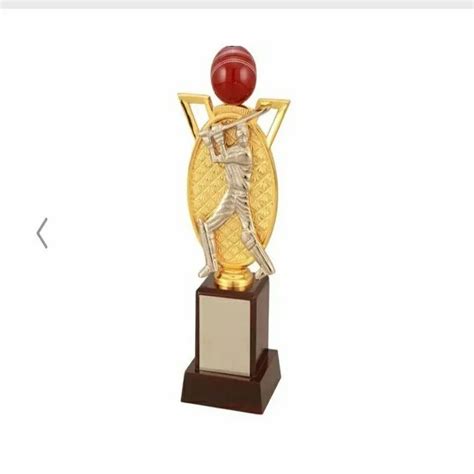 Golden Brass Cricket Trophy Shape Rectangular At ₹ 900 Piece In Moradabad