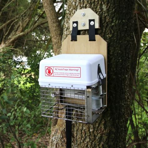 Tips For Possum Control On The Chatham Islands