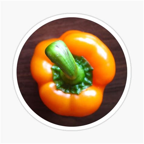 Capsicum Sticker By Rebereberebe Redbubble