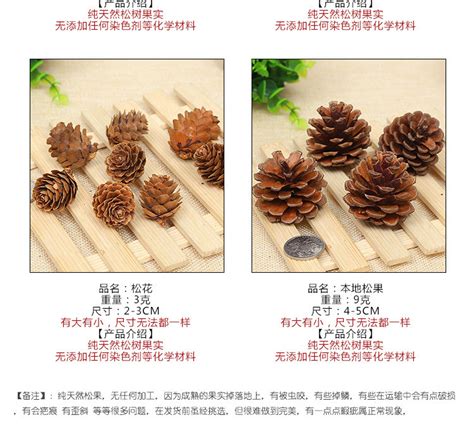 松果加工包装定制干花美国松油松本地松鱼鳞松落叶松吊线配饰 阿里巴巴