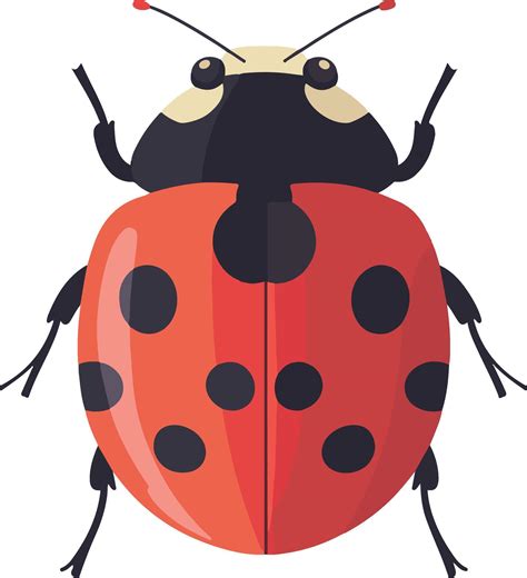 Cute Simple Ladybug Clipart 52239123 Vector Art At Vecteezy