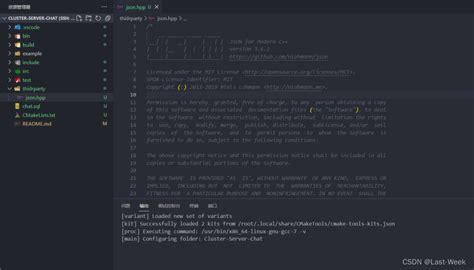 Json For Modern C使用modern Json Csdn博客