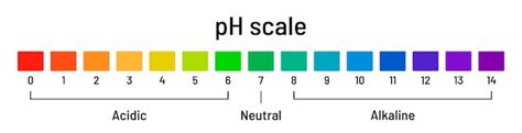 Premium Vector | Ph value scale meter for acid and alkaline solutions