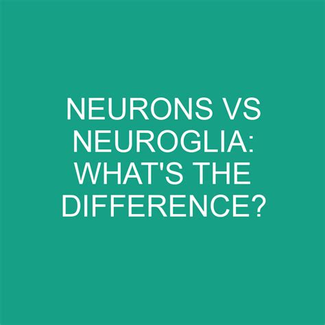Neurons Vs Neuroglia Whats The Difference Differencess