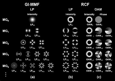Lp Modes Categorized In Different Mgs Of The A Gi Mmf And B Rcf