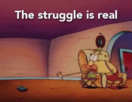 The Struggle Is Real  Struggle Discover And Share S