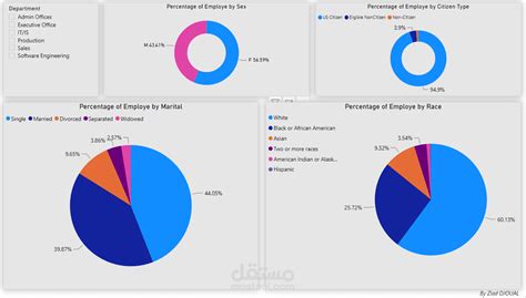 Hr Data Analytics Dashboard مستقل