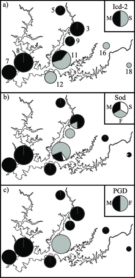 Allele Frequency Patterns For Three Allozyme Loci Sizes Of Pie Charts Download Scientific