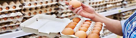 Grb Group Integrates Its Four Companies By Migrating To Oracle Cloud