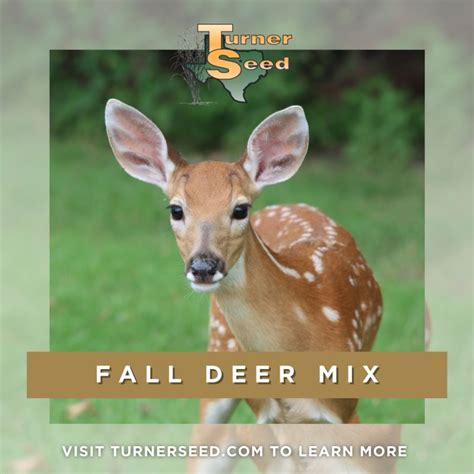 Youll Find Seed Like Barley Oats Triticale Clover Turnips Alfalfa And Many More In Our