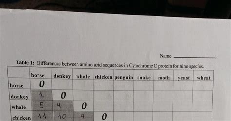Lizas Science Lab E Notebook L11 Cytochrome C Comparison Lab