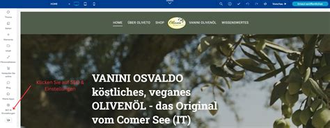 Wie Man Das Onlinebarriefrei Widget Auf Einer Ionos Webseite Einbindet