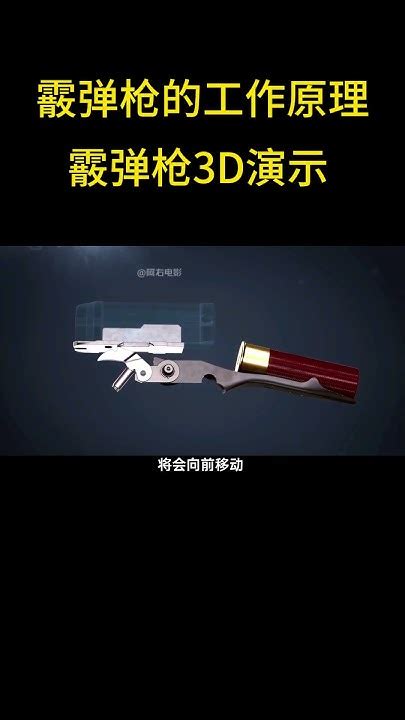 1 霰弹枪的工作原理，霰弹枪3d演示 纪录片 霰弹枪 武器 Youtube