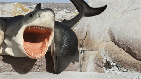 6 Headed Shark Attack 2018 Backdrops — The Movie Database Tmdb