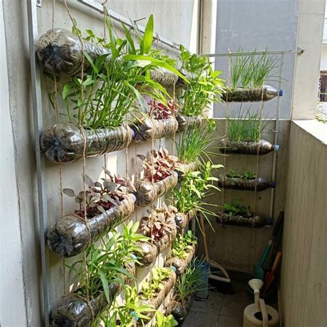 12 Kebun Sayur Mini Vertikal Di Balkon Sempit Simak Pilihan Jenis Sayurannya