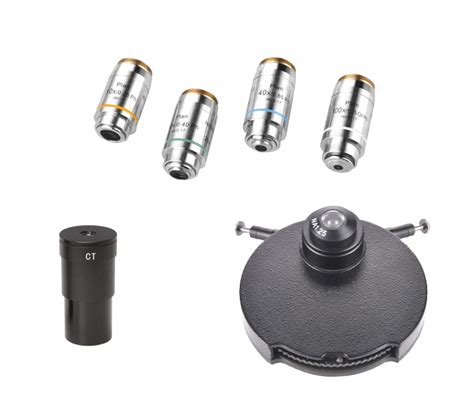 What Is Phase Contrast Microscope