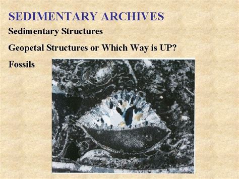 Sedimentary Archives Sedimentary Structures Sole Marks Sedimentary Archives