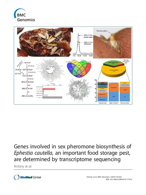 Pdf Genes Involved In Sex Pheromone Biosynthesis Of Ephestia Cautella