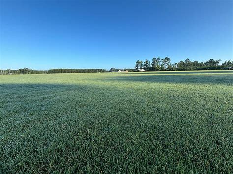 Explore The Key Attributes Of Northbridge® Bermudagrass Sod Solutions Pro