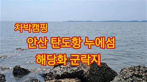 차박캠핑 안산 탄도항 누에섬 해당화 군락지 Youtube