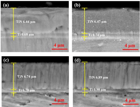Sem Cross Sectional Morphologies Of Tin Coatings Under Different Download Scientific Diagram