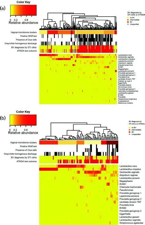Accuracy Of A Commercial Multiplex Pcr For The Diagnosis Of Bacterial Vaginosis Pmc