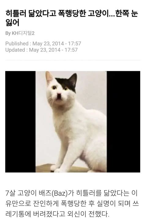 히틀러 닮은 고양이