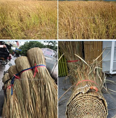 Factory Thatch Grass Tile Roof Dry Palm Synthetic Artificial Leaf Roofing Thatched Natural