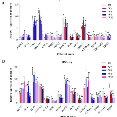 Comparison Of Relative Expression Of Degs Between Rna Seq And Qrt Pcr Download Scientific