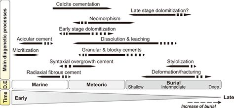 Paragenetic Sequence Of The Oolitic Limestone In The Miaolingian