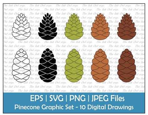pinecone vector clipart set outline silhouette stamp and color