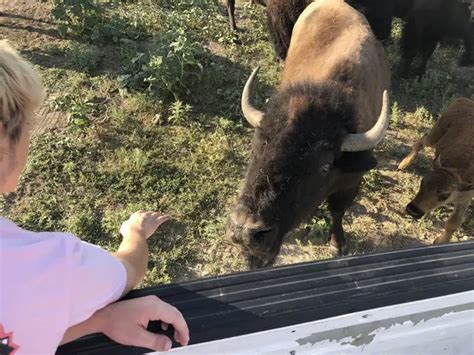 12 Fun Things To Do In Guymon Oklahoma Quartzmountain