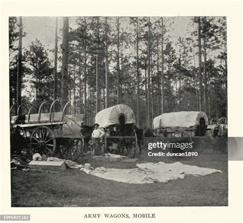 Military History Us Army Wagons At Mobile Spanishamerican War 1890s