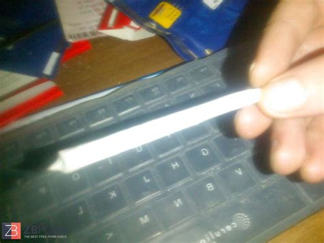 The Art Of Flipping Zb Porn