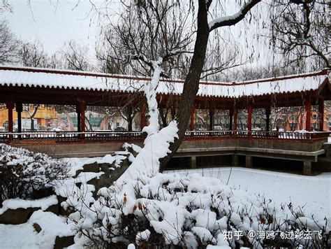 《问刘十九》 唐 白居易 绿蚁新醅酒，红泥小火炉。 晚来天欲雪，能饮一杯无？ 知乎