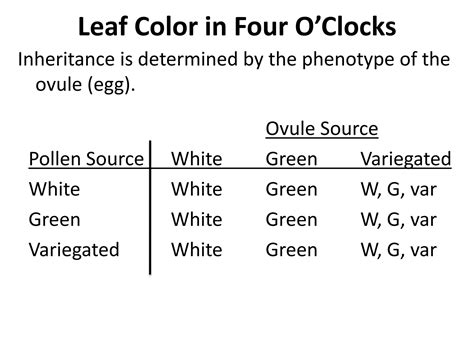 Extranuclearinheritancepptx