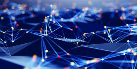 Womens The Function Of Freedom Is To Free Someone Else Toni