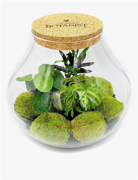 The Urban Botanist Secret Garden Ecosystem With Lights Artofit