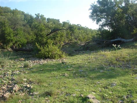 17618 Acres In Callahan County Texas