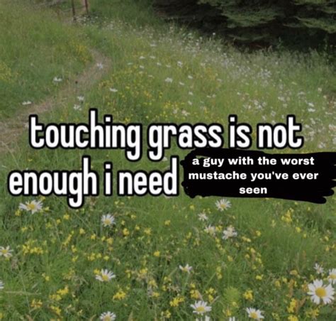 Touching Grass Is Not Enough Touching Grass Is Not Enough Know Your