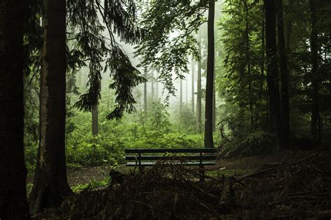 𝐋𝐄𝐀𝐃 𝐖𝐈𝐓𝐇 𝐒𝐈𝐋𝐄𝐍𝐂𝐄 Paul Simard