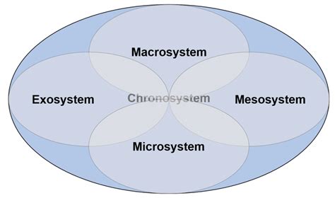 Definition Of The Ecological Systems Theory Used In The Present