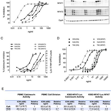 Robert Huizinga Adjunct Professor Phd Rn Msc Epi Cneph C Leder School Of Business