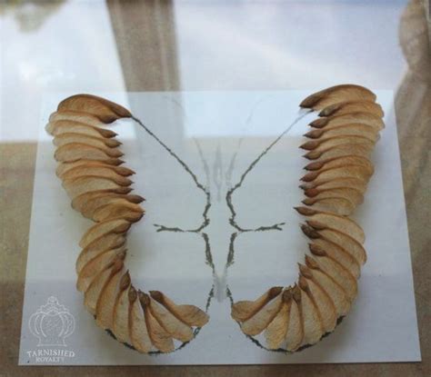 How To Make Beautiful And Easy Maple Seed Butterfly Art In 2025 Seed