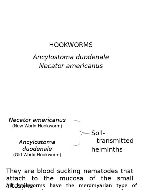 Report Hookworms Pdf Veterinary Medicine Diseases And Disorders