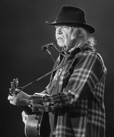 Neil Young Wikipedia