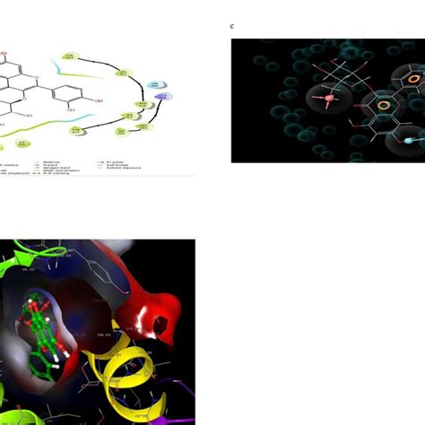 A 2d Configuration Of Isoquercitrin Complex With Peroxisome
