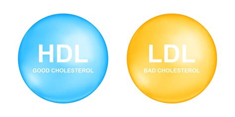 Premium Vector Hdl And Ldl Cholesterol Types In Blue And Yellow Ball