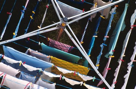 Stewi Ist Gerettet Und Zügelt Nach Saland